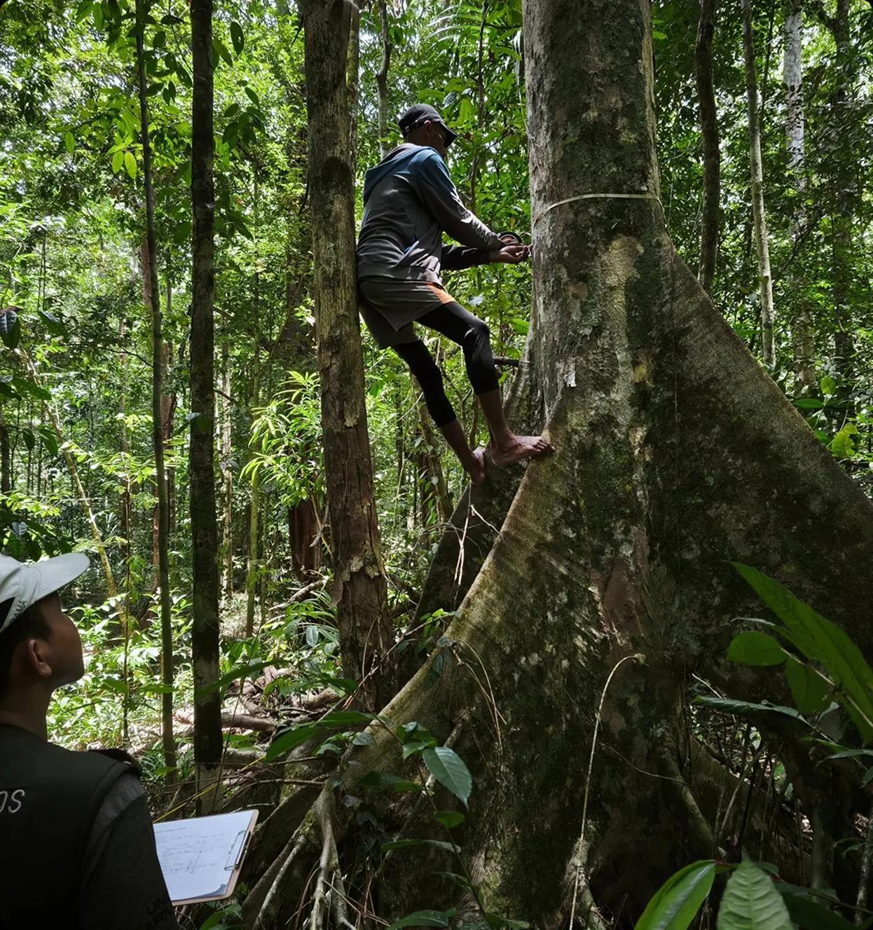 Fairatmos | Trusted Partner for Verified Carbon Projects in Southeast Asia