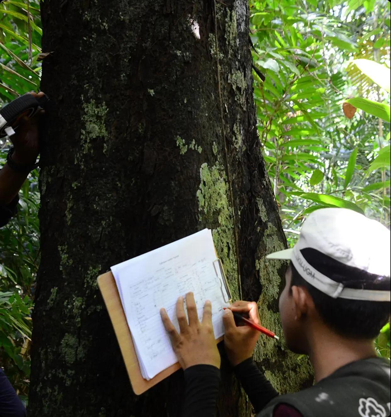 Fairatmos | Trusted Partner for Verified Carbon Projects in Southeast Asia