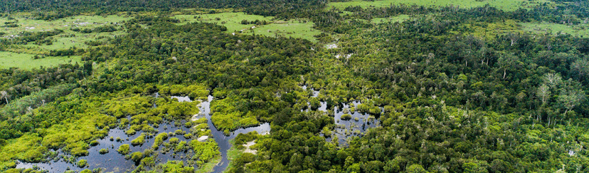 Katingan Mentaya Project | Fairatmos