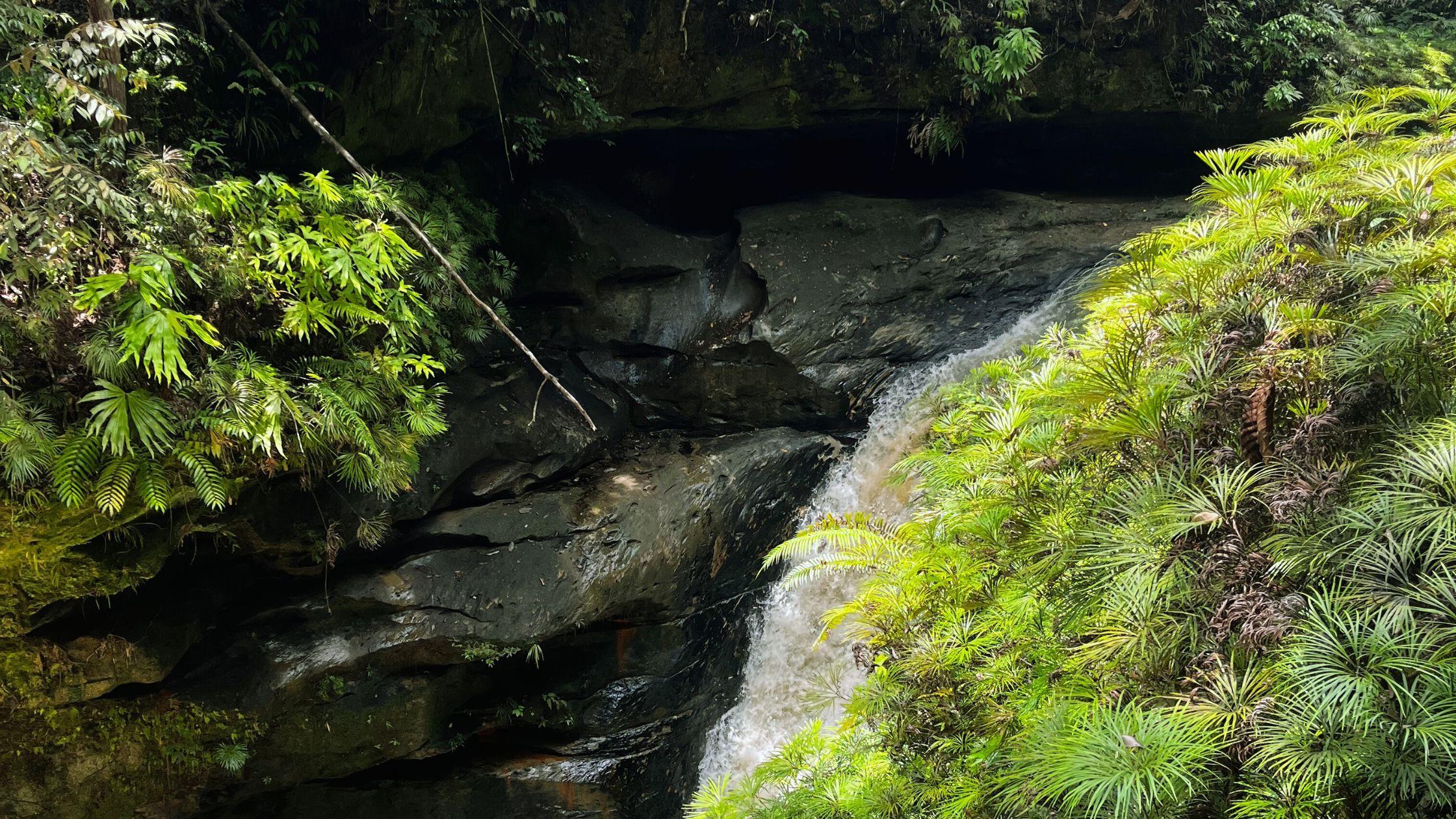 Understanding ICVCM and Core Carbon Principle's Role in Enhancing ...