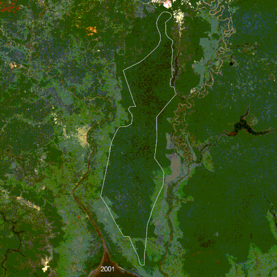 Katingan Mentaya Project | Fairatmos